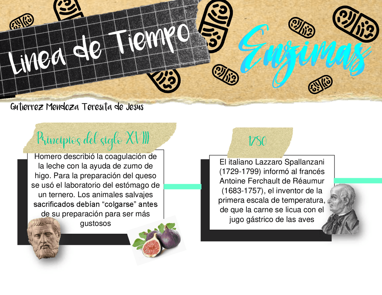 linea del tiempo sobre enzimas | Esquemas y mapas conceptuales de ...