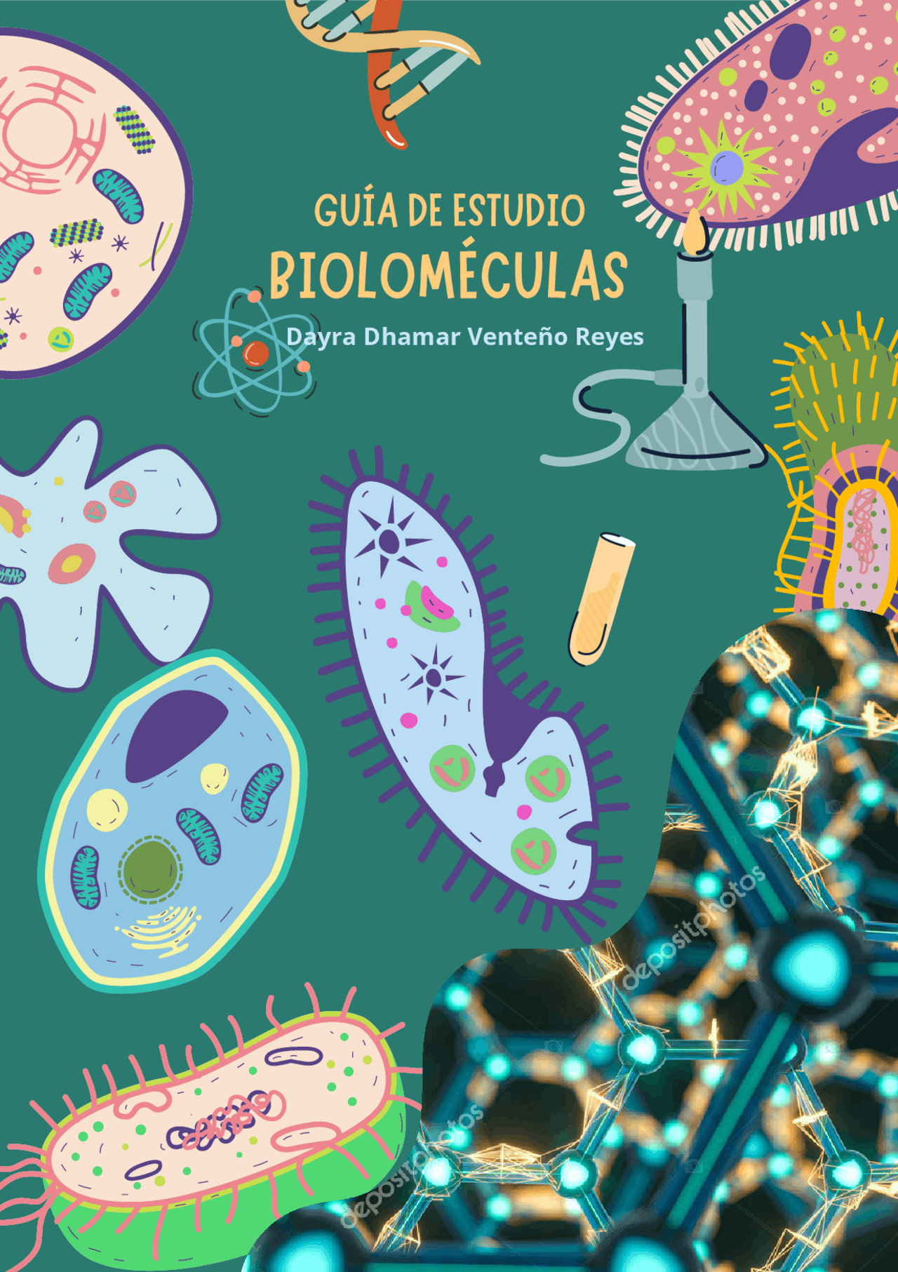 Estudio Guía sobre Biomoléculas: Definición, Funciones y Origen ...