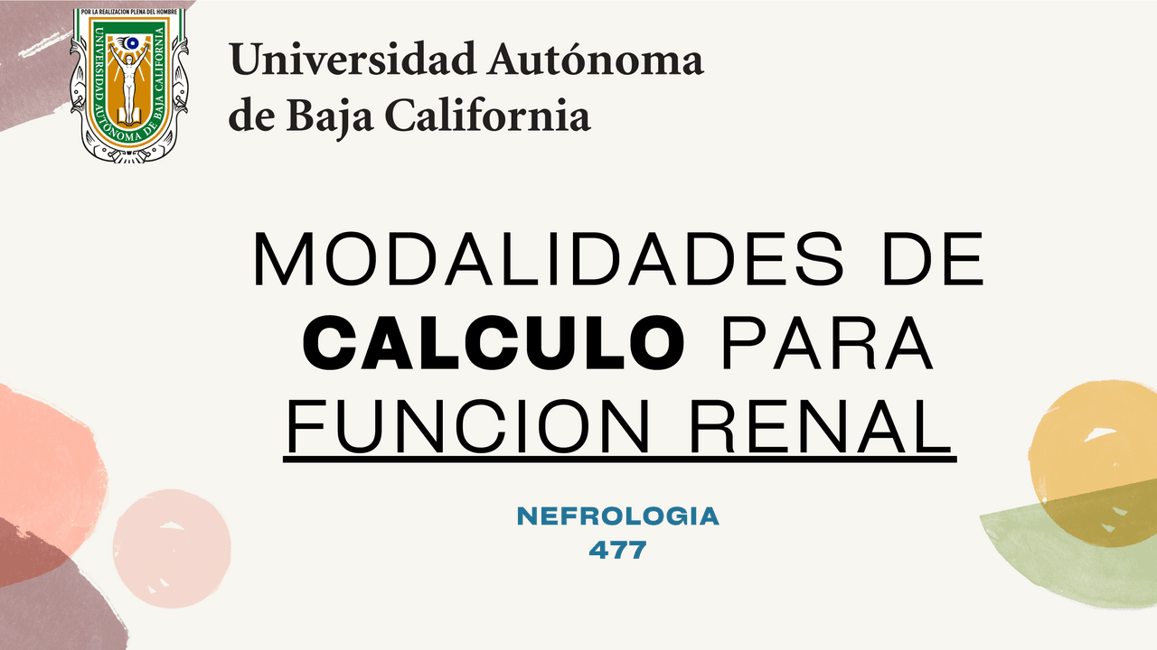 formulas funcion renal | Diapositivas de Nefrología | Docsity