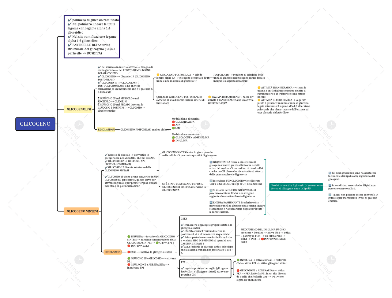 Glicogeno schema riassuntivo | Schemi e mappe concettuali di Biochimica ...