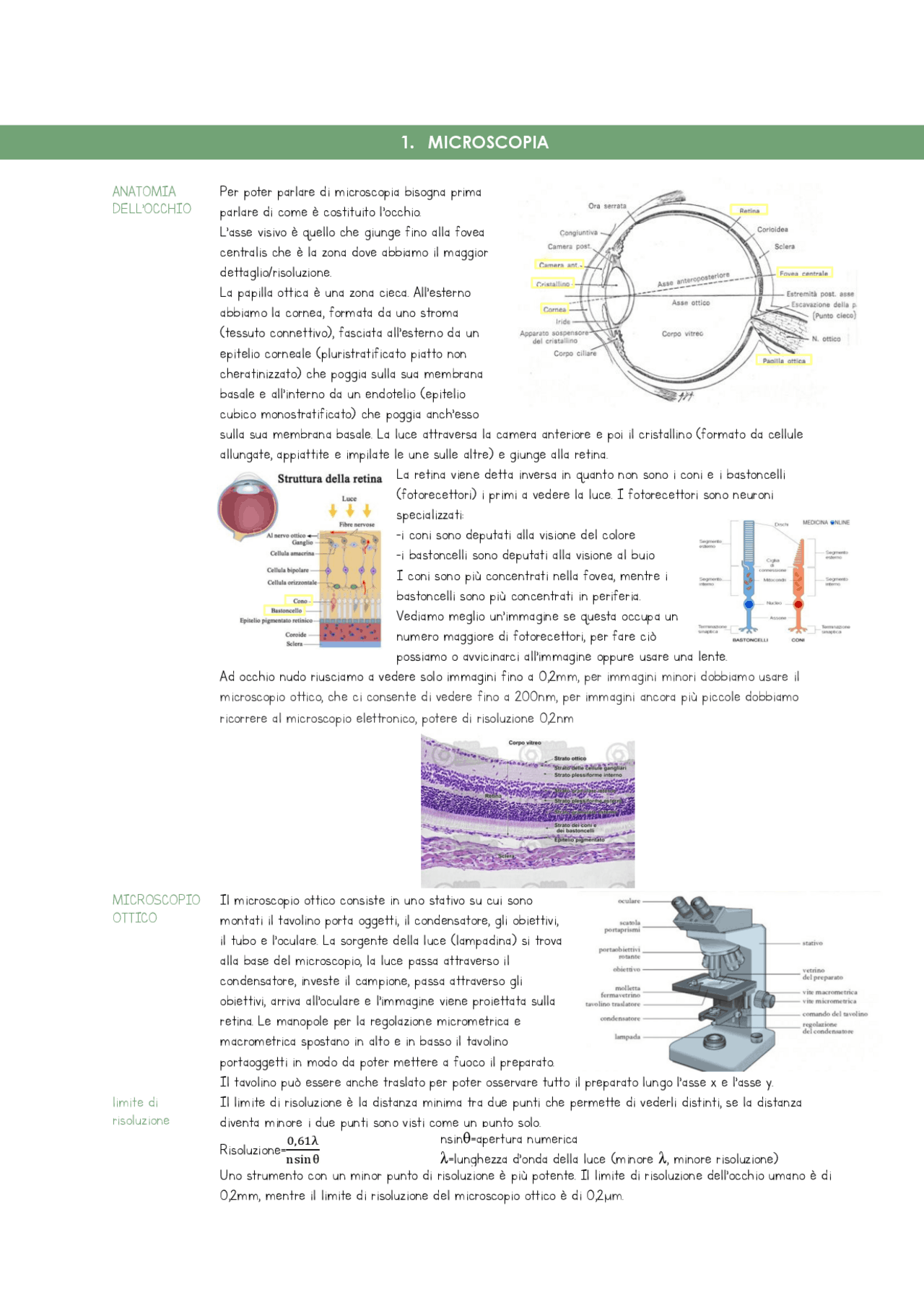 citologia e istologia (modulo istologia) | Dispense di Istologia | Docsity