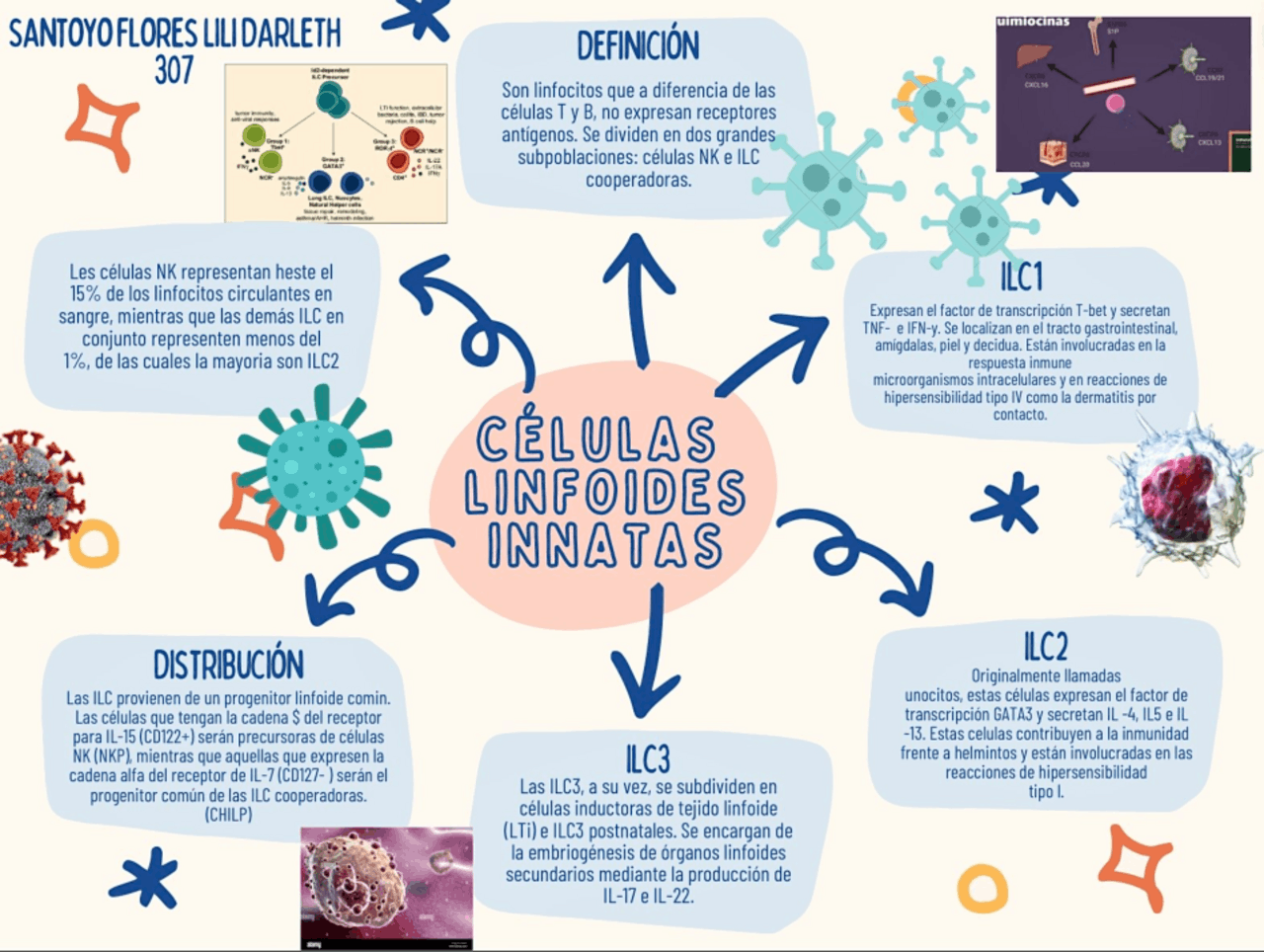 Células linfoides innatas | Esquemas y mapas conceptuales de ...