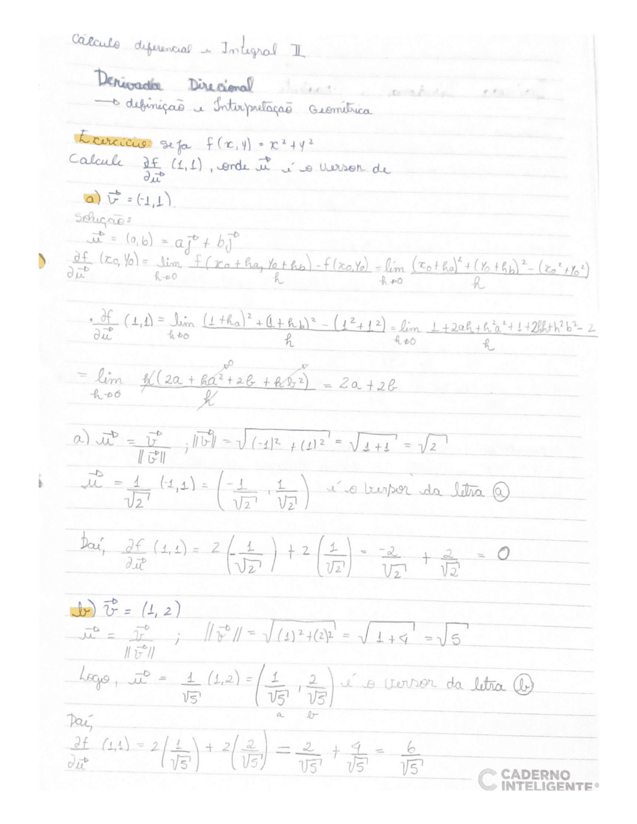 Resumo sobre Derivadas direcionais, contendo exercícios resolvidos ...