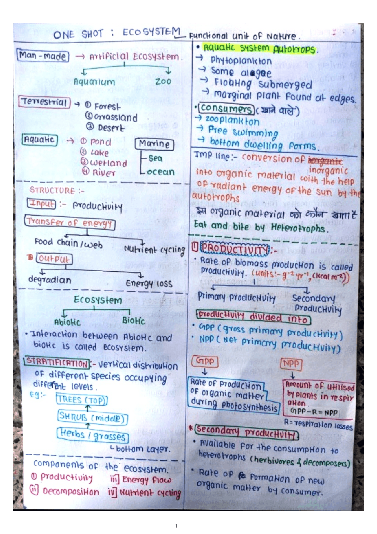 Ecosystem colourfull hand written one shot notes mind map | Summaries ...