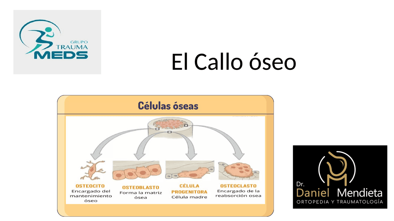 callo oseo fisiopatologia | Diapositivas de Medicina | Docsity