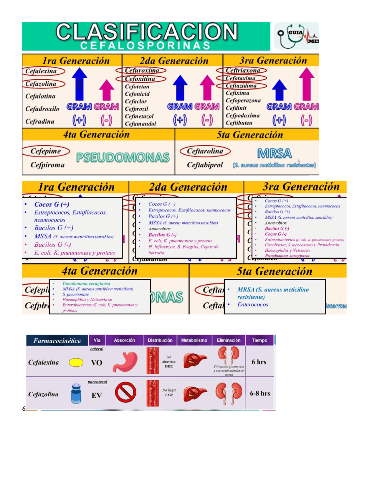 cefalosporinas de primera, segunda, tercera y cuarta generacion | Esquemas y mapas conceptuales ...