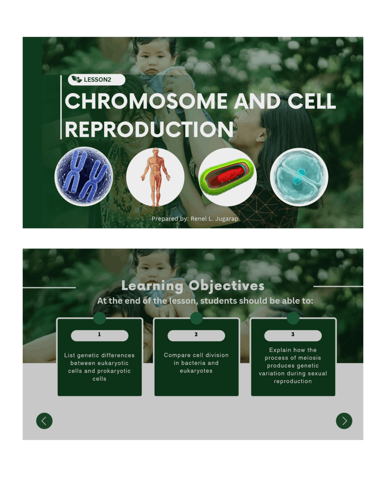 Genetics this include | Assignments Biology | Docsity