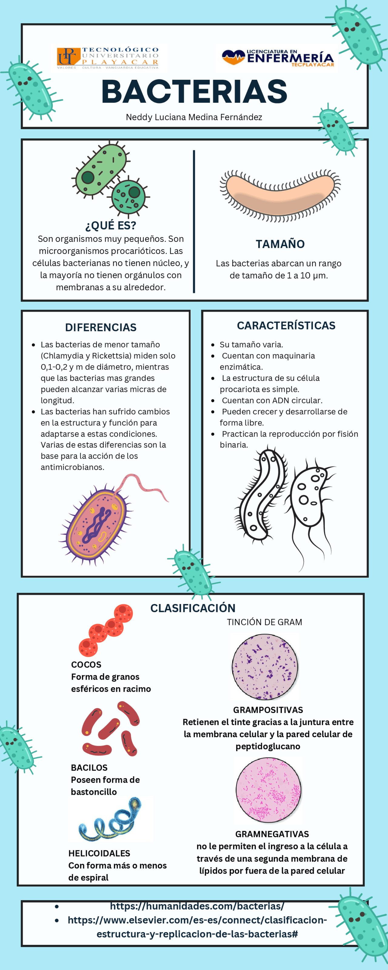 Las bacterias son microorganismos unicelulares, procariontes y ...