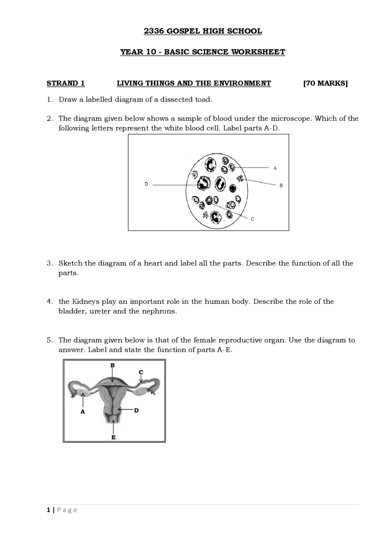 Year 10 Basic Science Worksheet: Living Things and the Environment ...