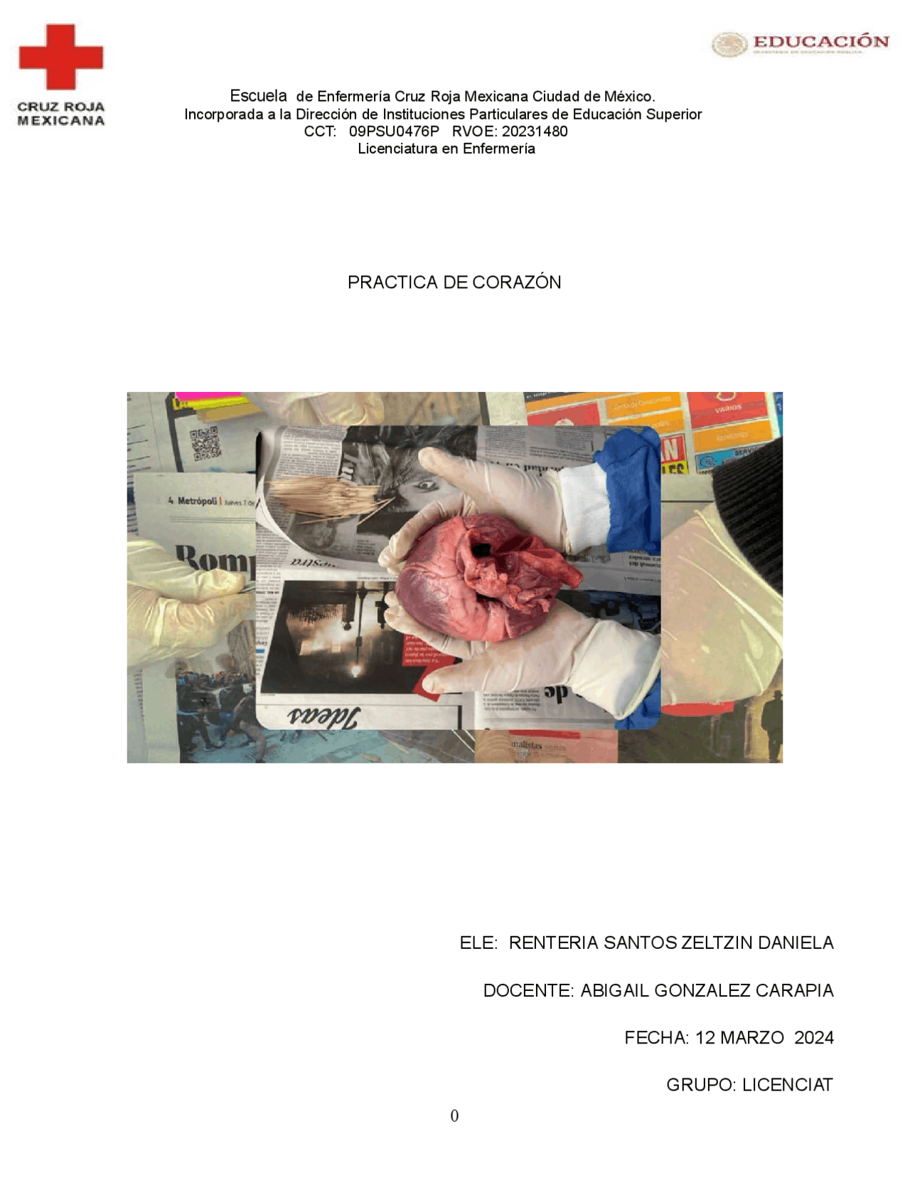 PRACTICA CORAZÓN HUMANO VS CORAZÓN DE CERDO | Guías, Proyectos ...