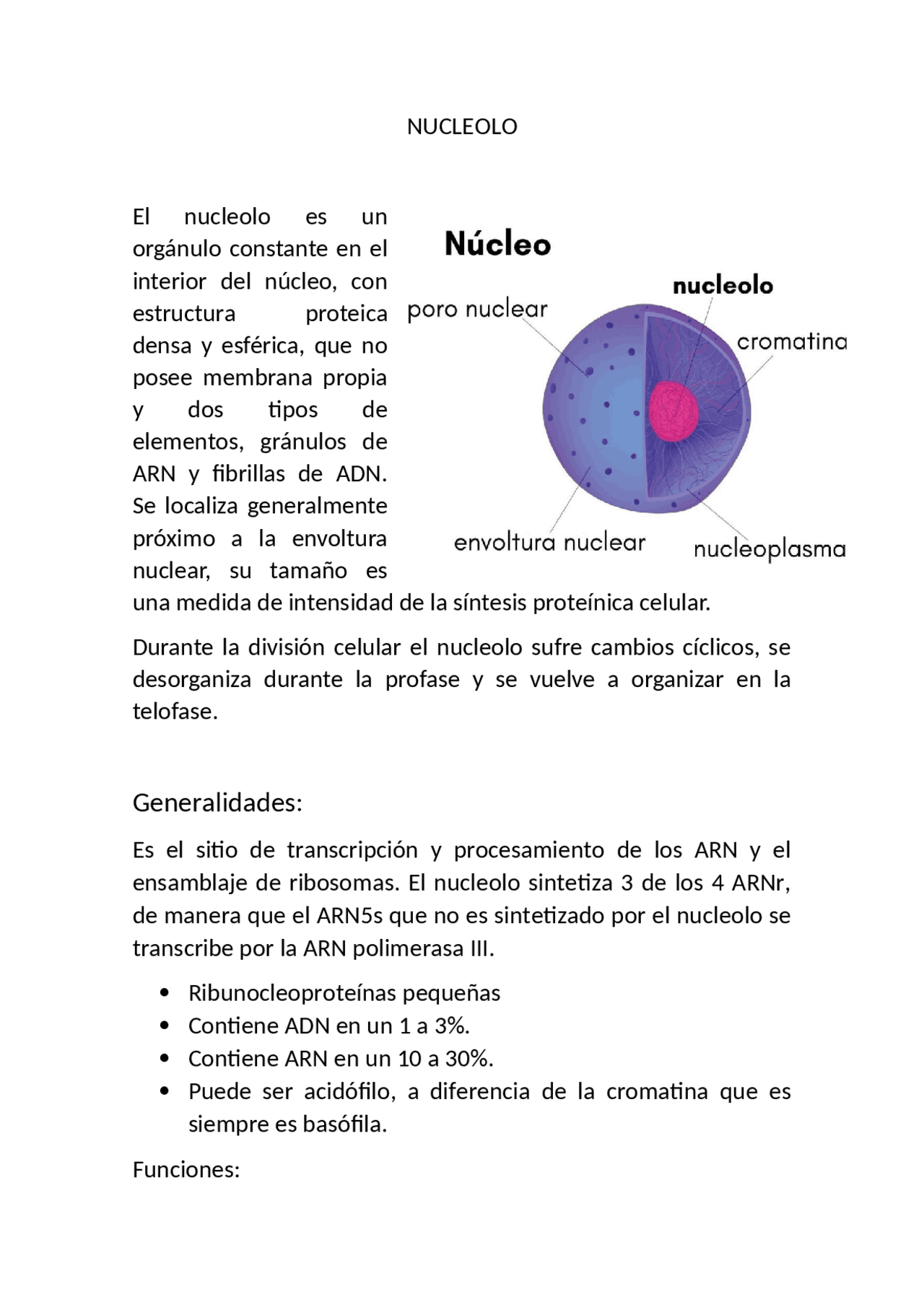 Nucleoplasma Estructura Histoweb