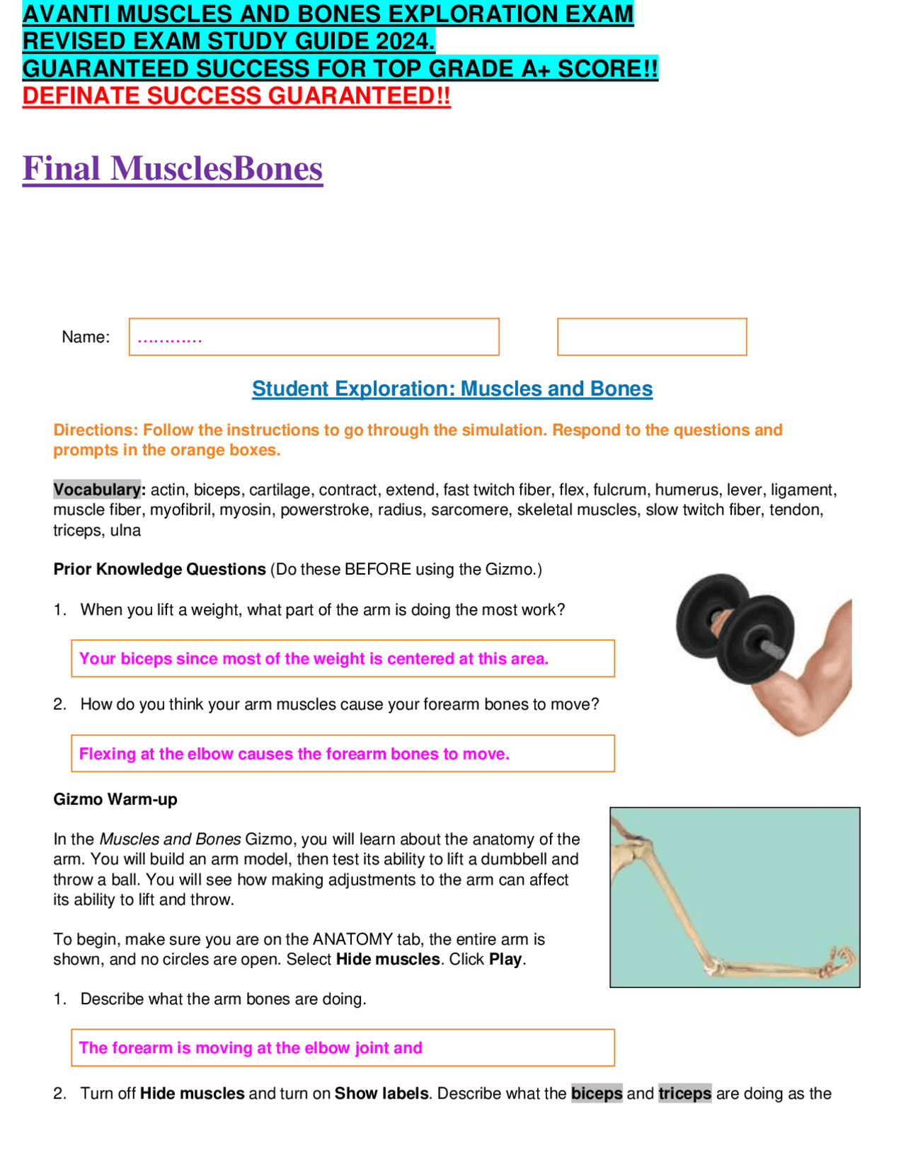 2024 Study Guide: Understanding Arm Muscles & Bones | Exams Nursing ...