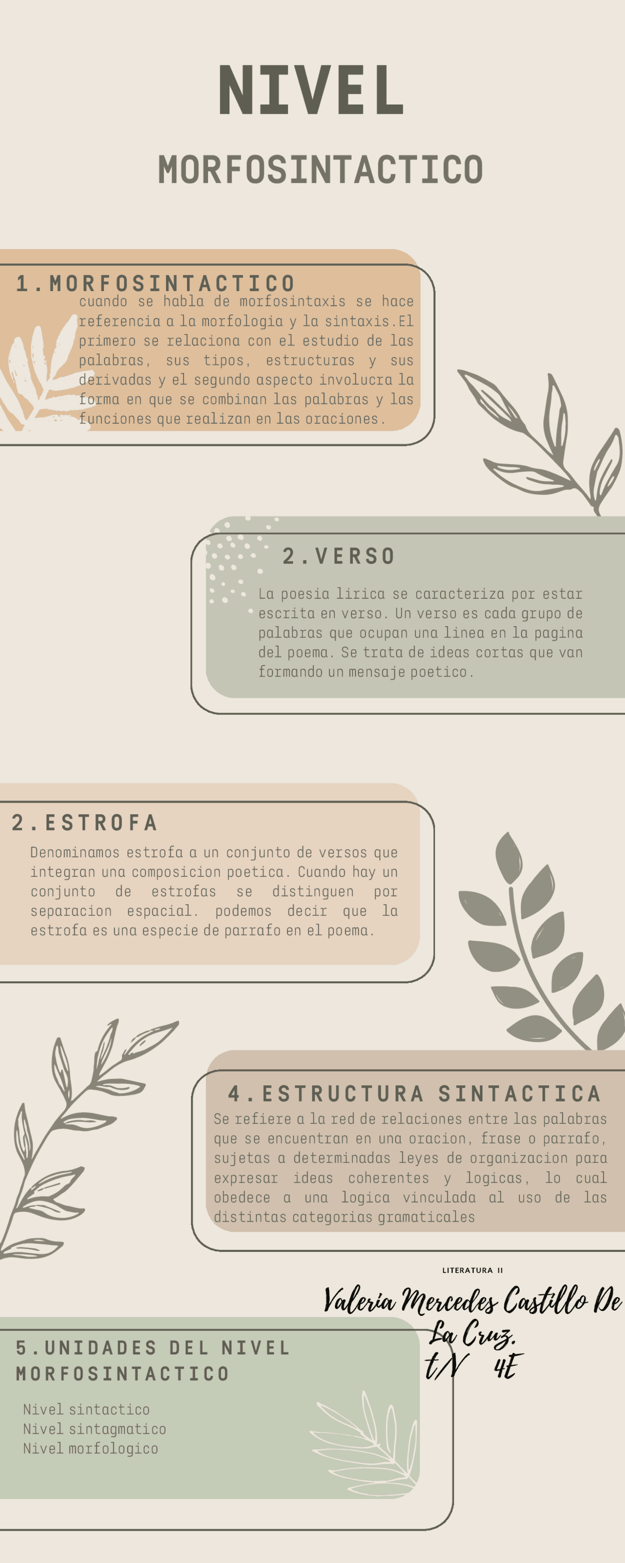 nivel morfosintactico | Esquemas y mapas conceptuales de Lengua y ...