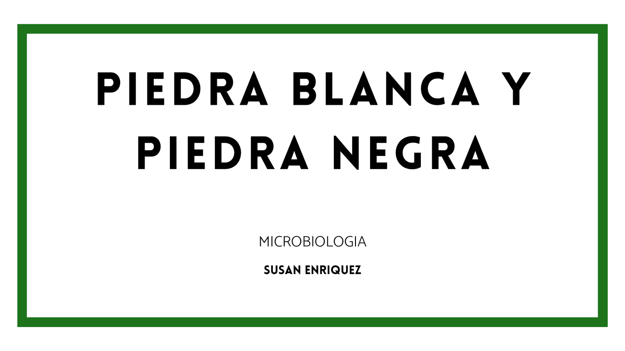 PIEDRA BLANCA Y NEGRA MICROBIOLOGIA | Guías, Proyectos, Investigaciones ...