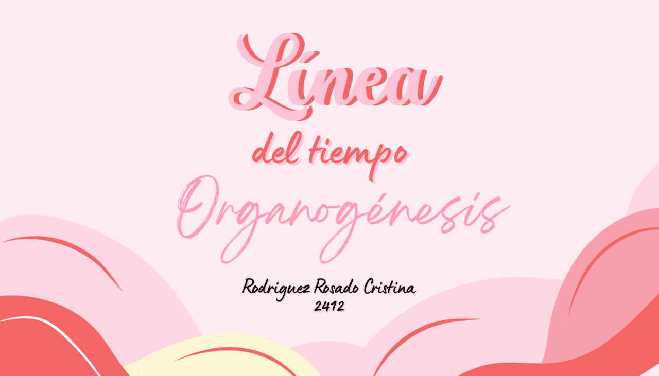 Linea del tiempo Organogenesis | Diapositivas de Ciencias de la Salud | Docsity