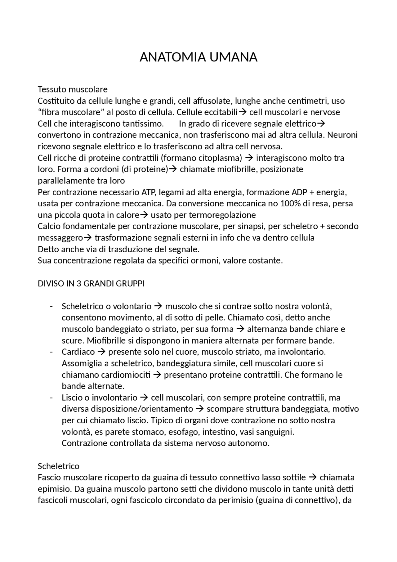 Appunti anatomia umana 1 professoressa Laura Ingra | Appunti di ...