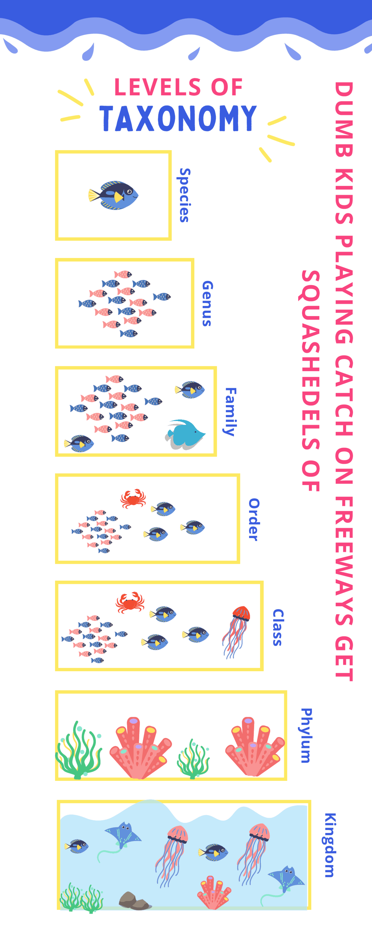 Levels of Taxonomy By Me | Cheat Sheet Biology | Docsity