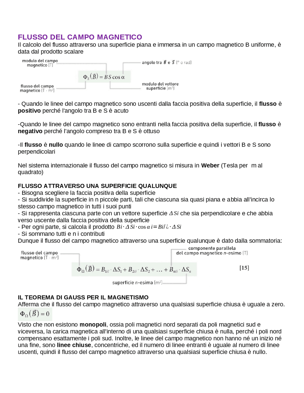 Fisica - Campo magnetico | Appunti di Fisica | Docsity