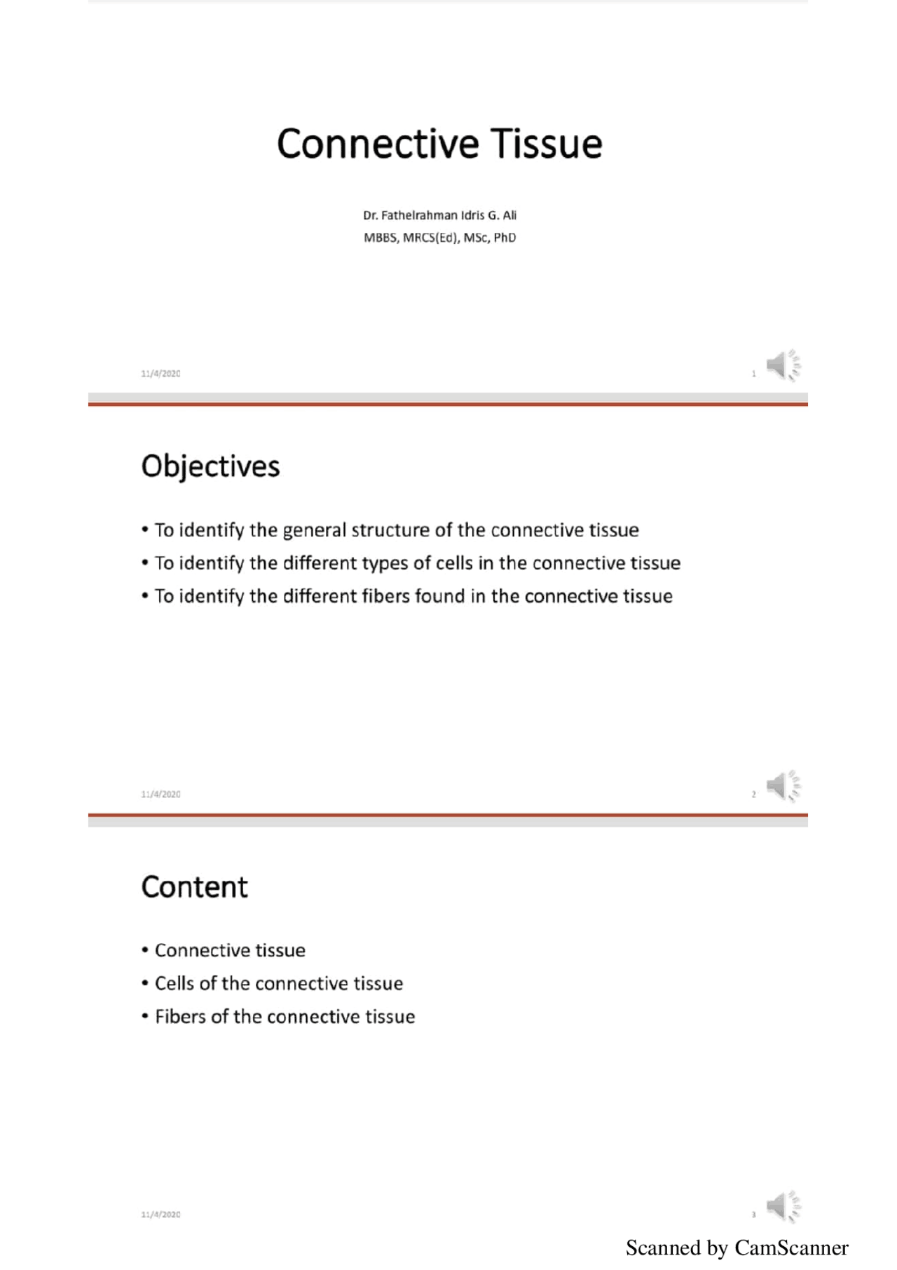 The structure of the connective tissue and its functions and ...