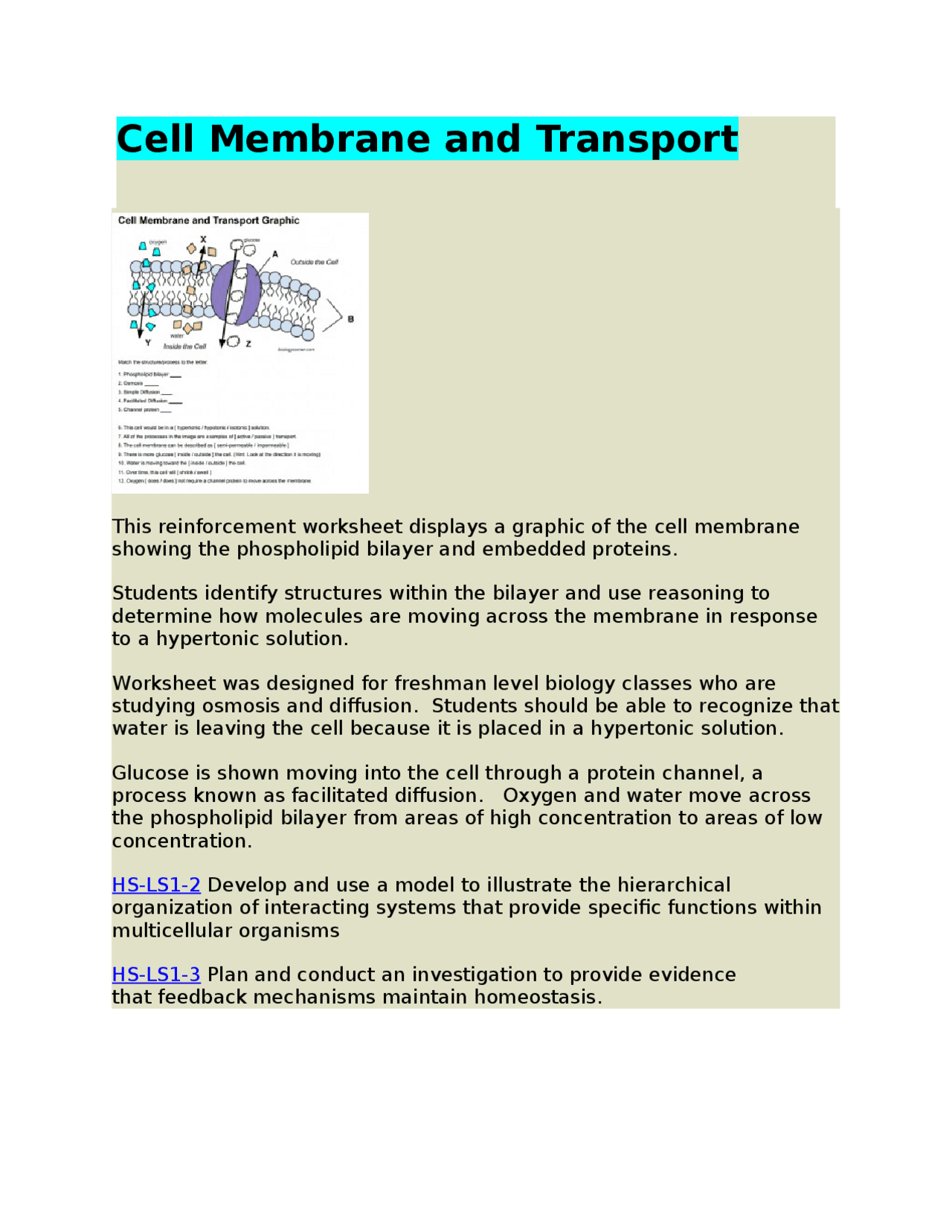 Cell Membrane and Transport: Understanding Osmosis and Facilitated ...
