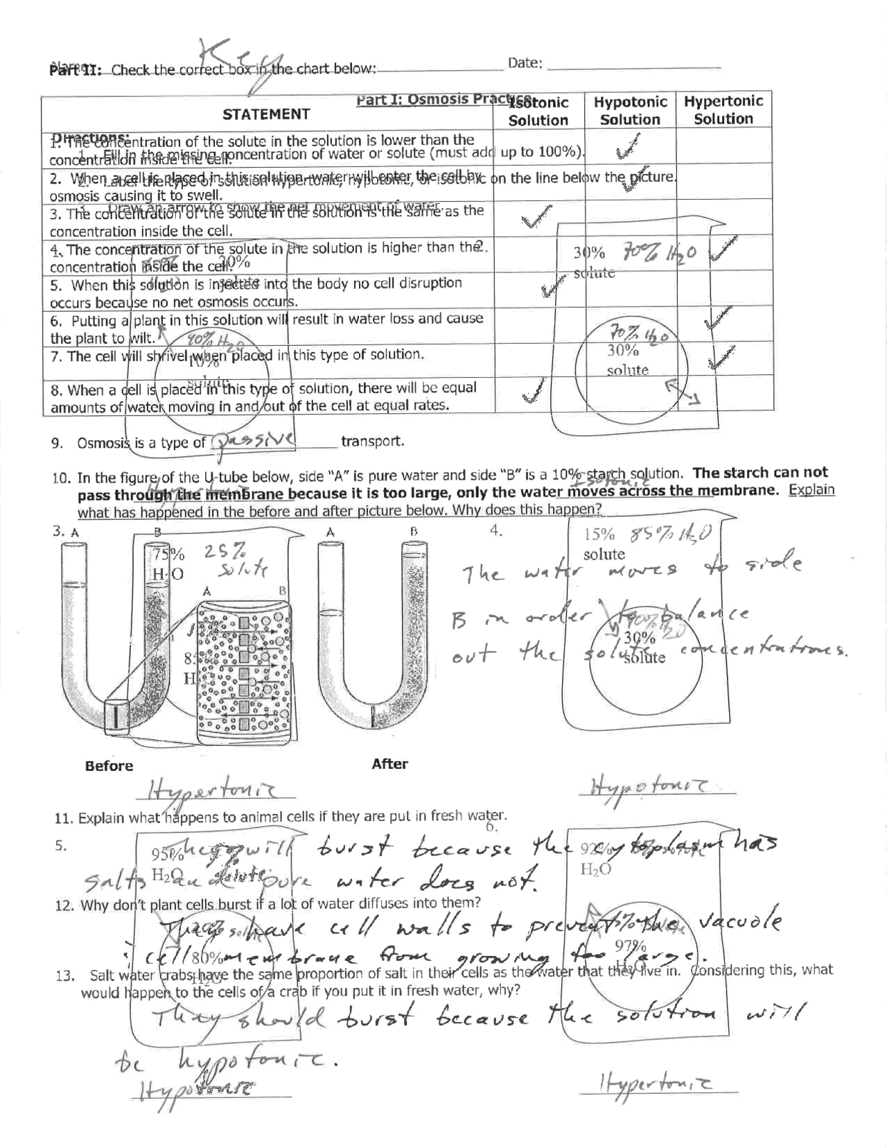 MOLECULAR BIOLOGY FINAL EXAM OSMOSIS QUESTIONS AND ANSWERS | Exams ...