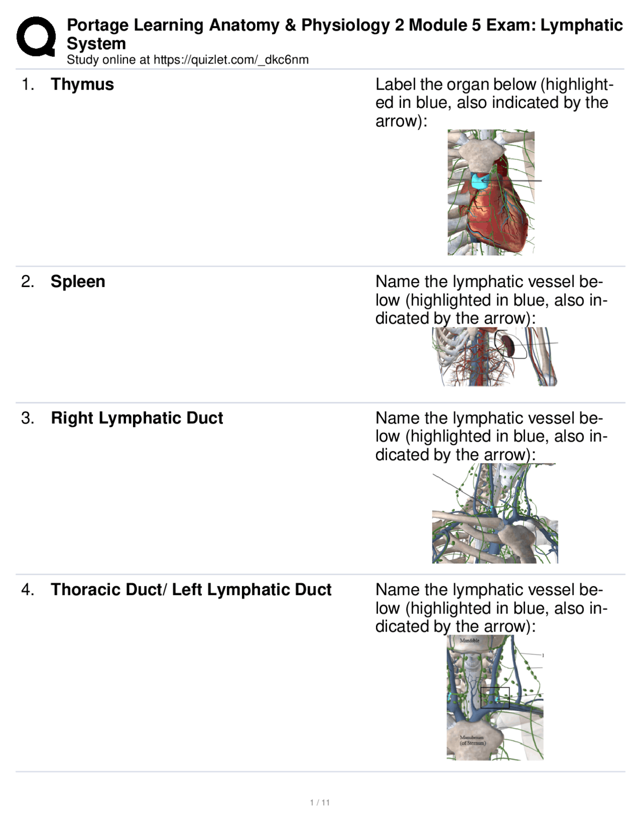 Portage Learning Anatomy Physiology 2 Module 5_Exam Lymphatic System ...