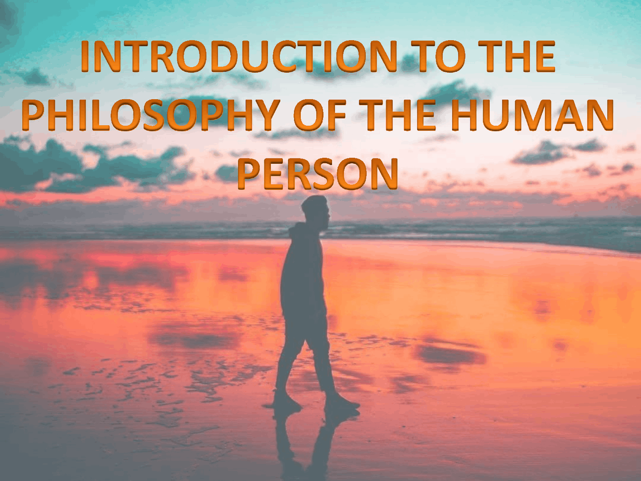 Introduction to the Philosophy of the Human Person | Study notes ...