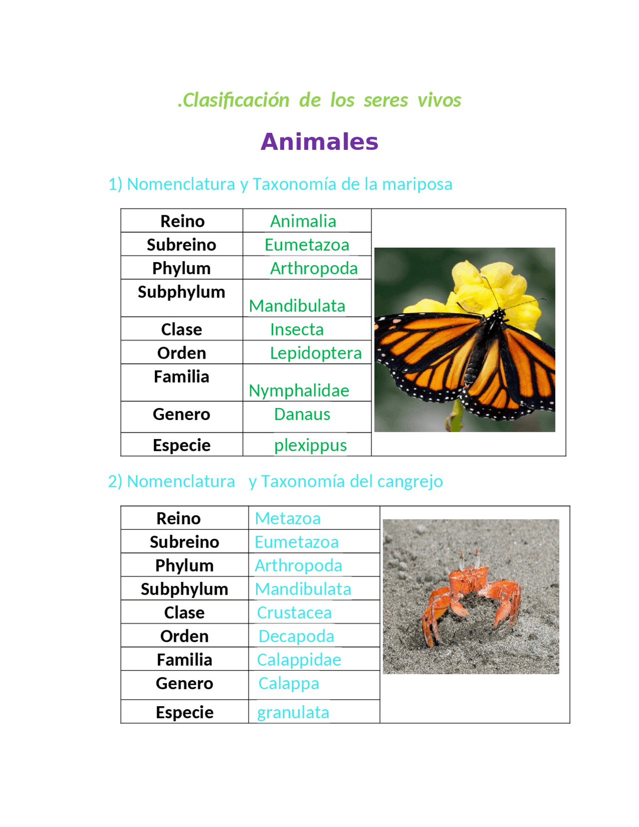 Clasificacin De Los Seres Vivos Taxonomia Taxonomia