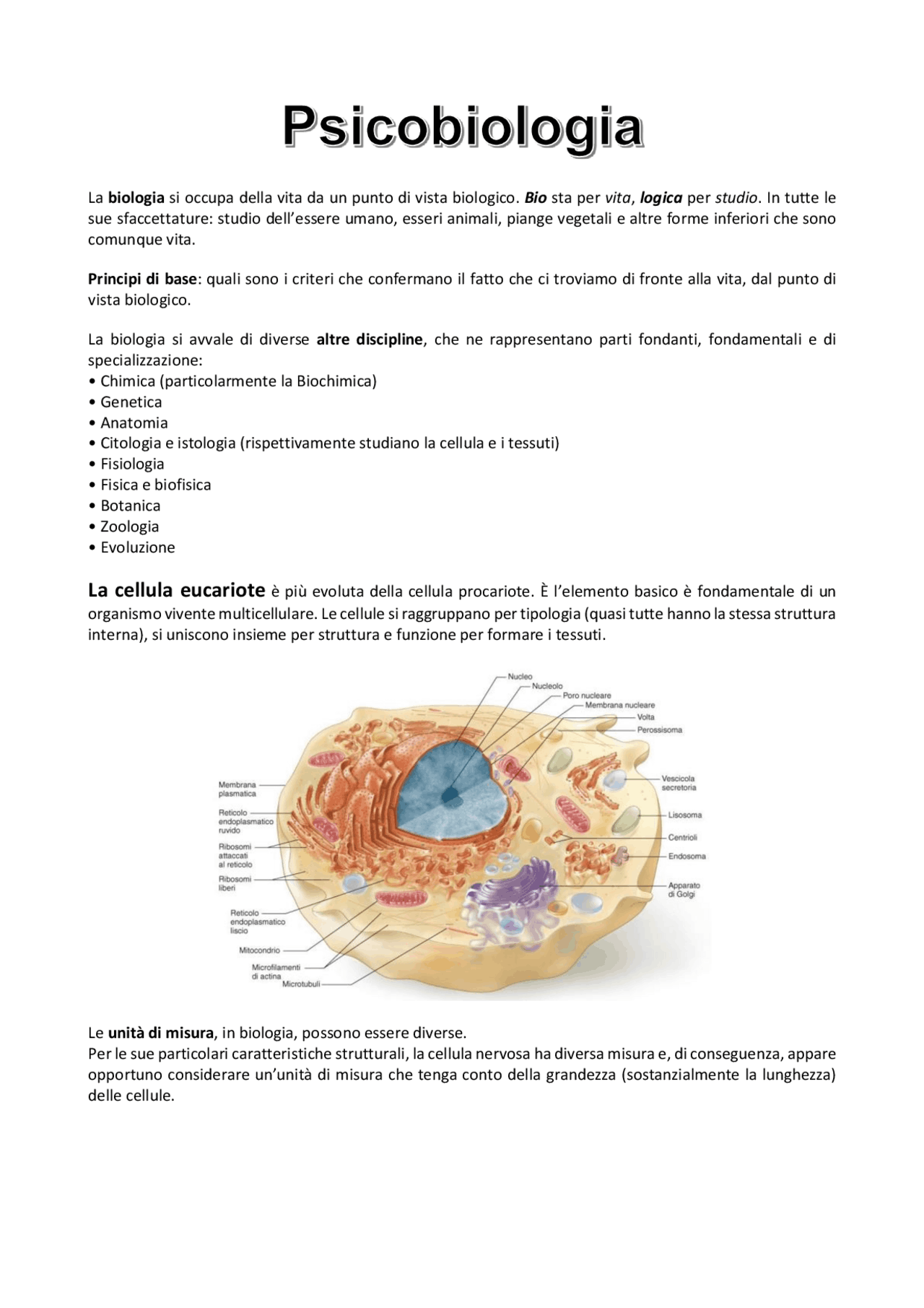 La Cellula Nervosa: Struttura, Funzionamento e Membrana Plasmatica | Appunti di Psicobiologia ...