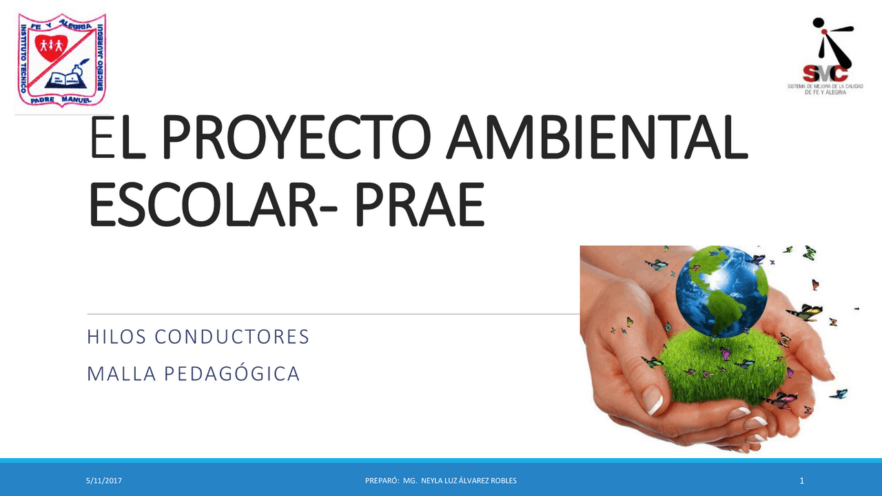 Proyecto Prae transversal | Guías, Proyectos, Investigaciones de Lengua y Literatura | Docsity