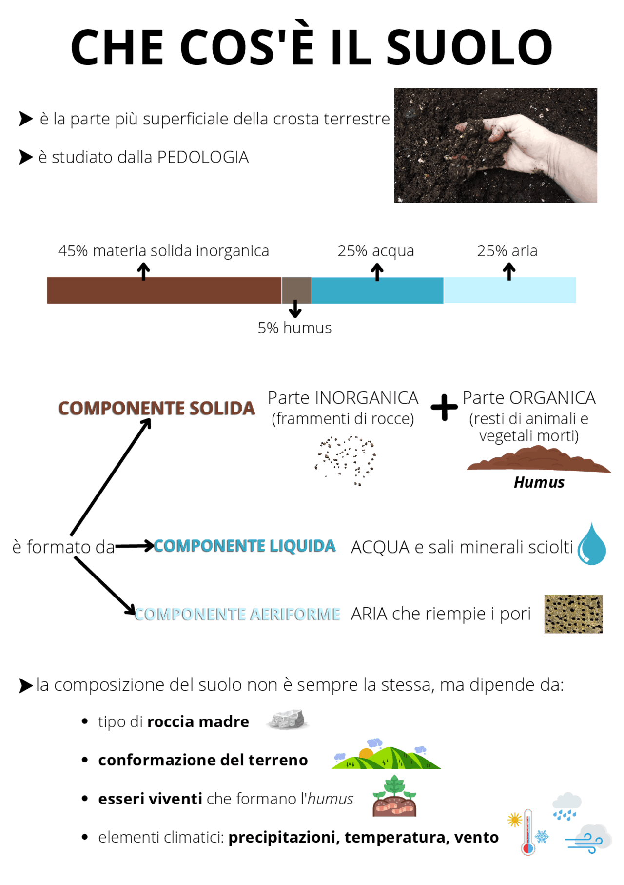 Il Suolo: Caratteristiche, Formazione e Importanza | Schemi e mappe concettuali di Scienze della ...