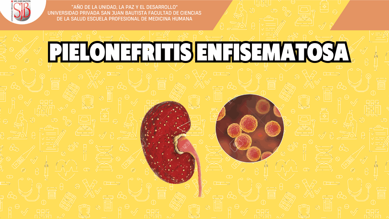 PIELONEFRITIS ENFISEMATOSA | Esquemas y mapas conceptuales de Medicina | Docsity