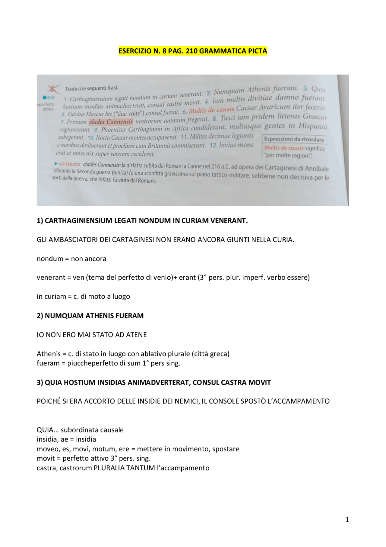 Frasi latine - esercizi p.210 n.8 Gramm. Picta - picchep - analisi grammaticale | Esercizi di ...