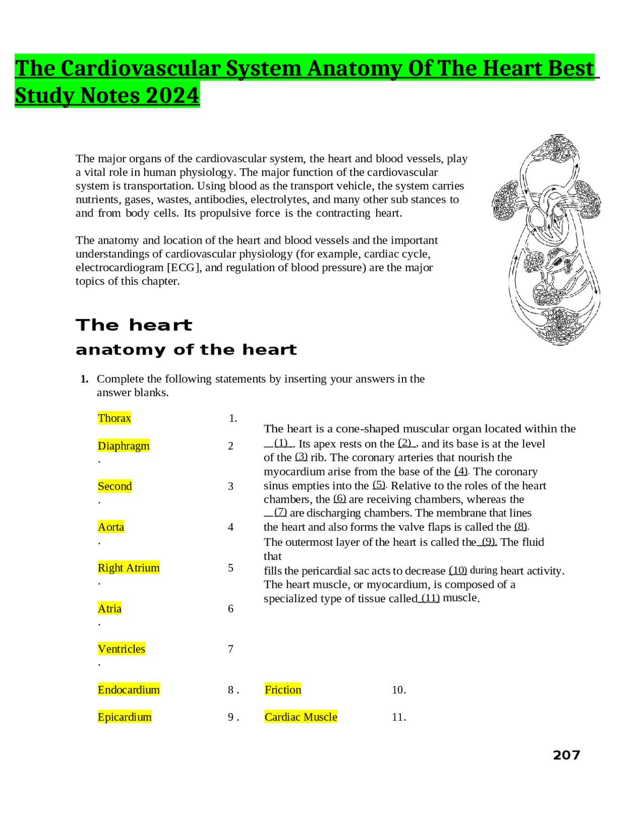 The Cardiovascular System Anatomy Of The Heart Best Study Notes 2024 ...