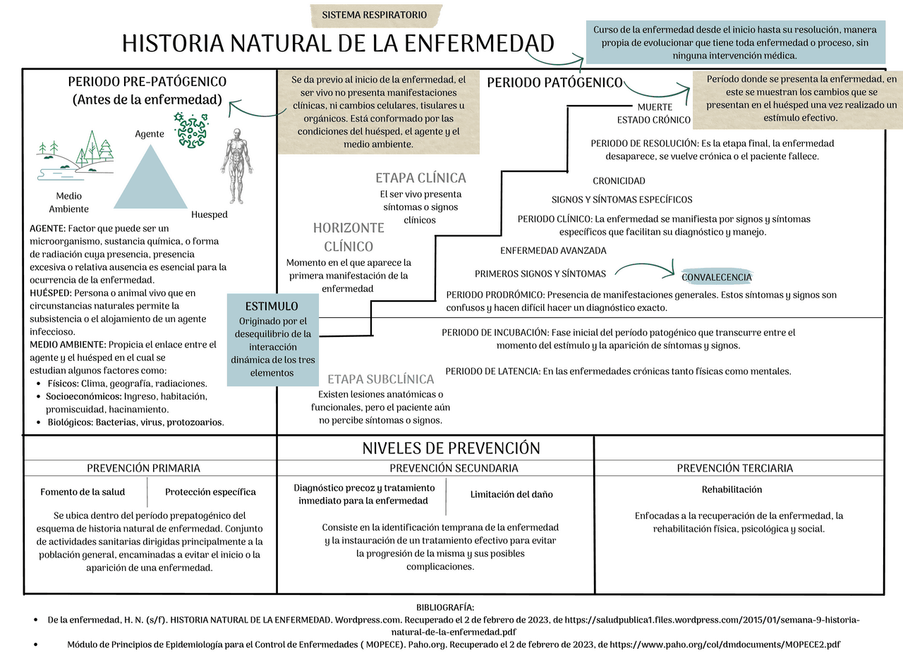 Historia natural de la enfermedad | Esquemas y mapas conceptuales de Enfermedades Infecciosas ...