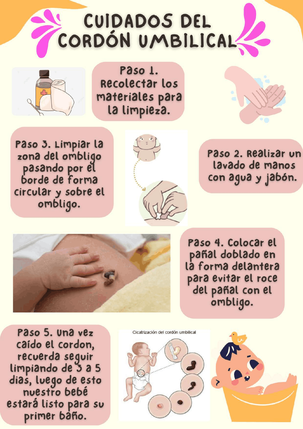 Limpieza del Cordon umbilical de | Esquemas y mapas conceptuales de ...