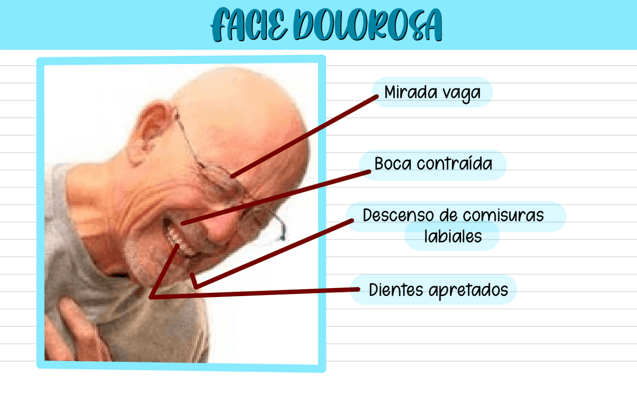 Características de las diferentes facies humanas | Esquemas y mapas ...