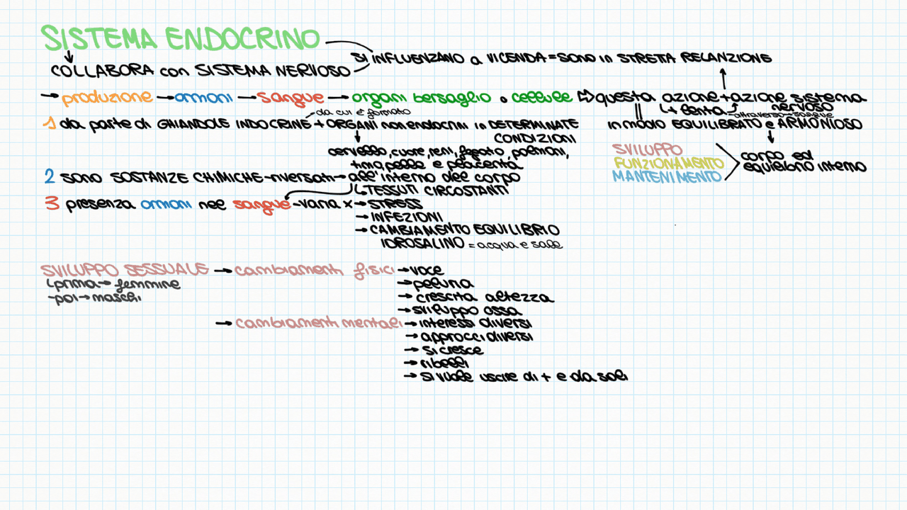 Sistema endocrino, organi endocrini e ormoni | Appunti di Biologia ...