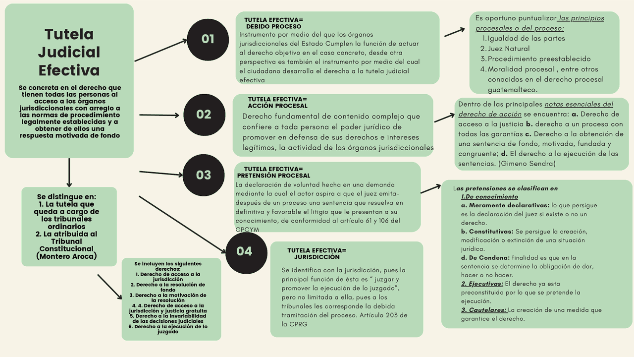 TUTELA JUDICIAL EFECTIVA | Esquemas y mapas conceptuales de Derecho | Docsity