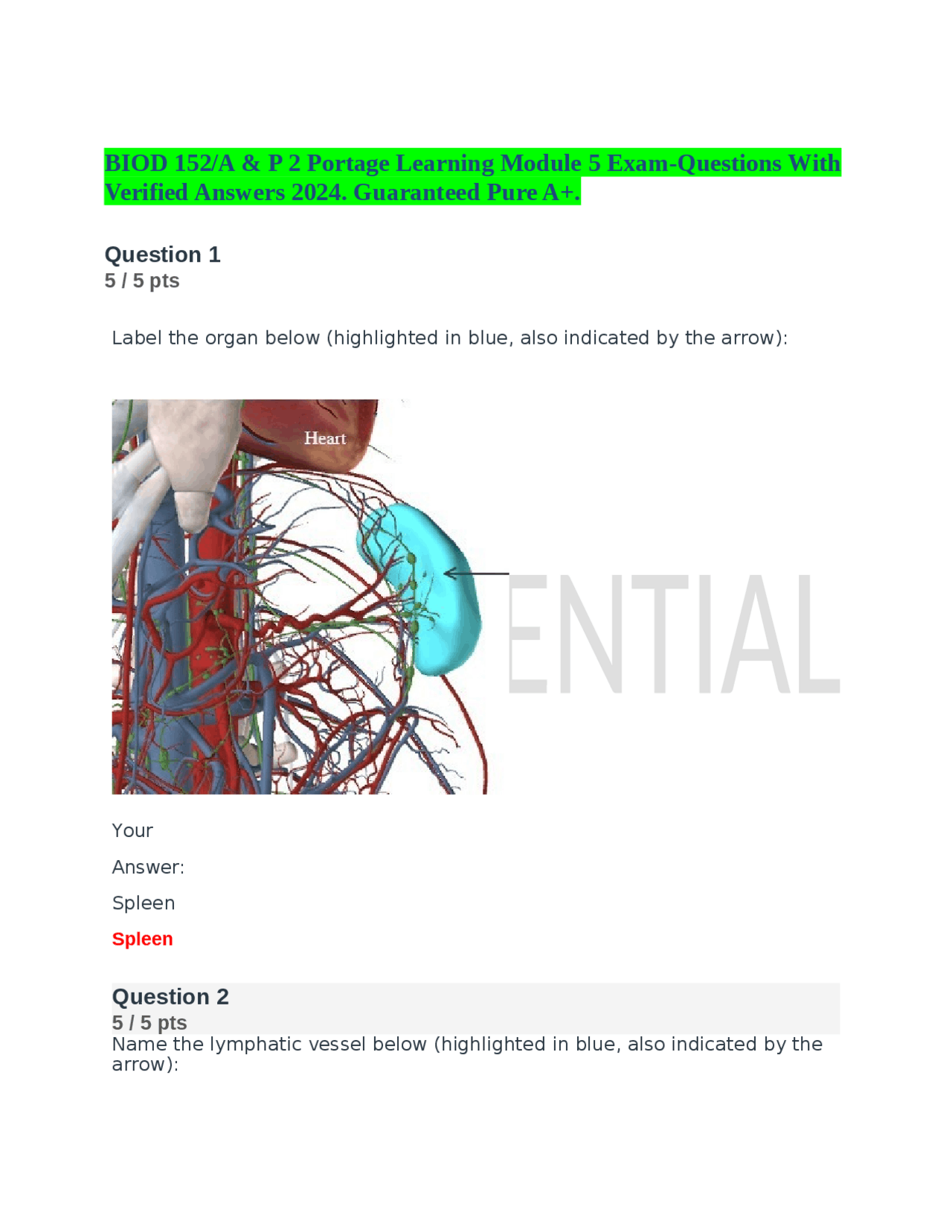 BIOD 152/A&P 2: Lymphatic System Exam Q&A | Exams Nursing | Docsity