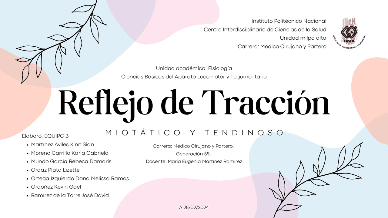 Reflejos musculares y su regulación | Diapositivas de Medicina | Docsity