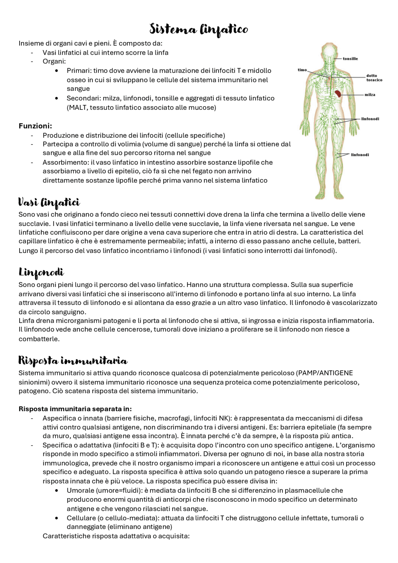 Sistema linfatico, risposta immunitaria, cellule del sistema ...