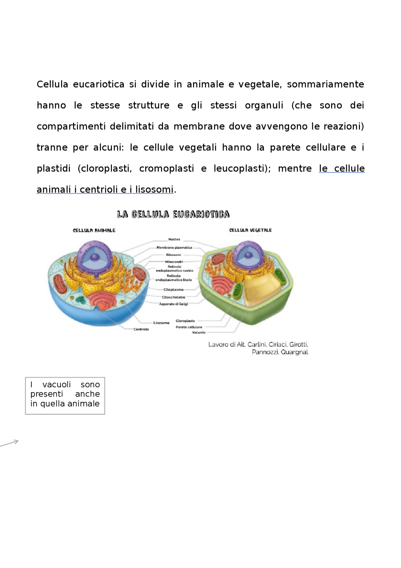 la cellula - biologia | Appunti di Biologia | Docsity