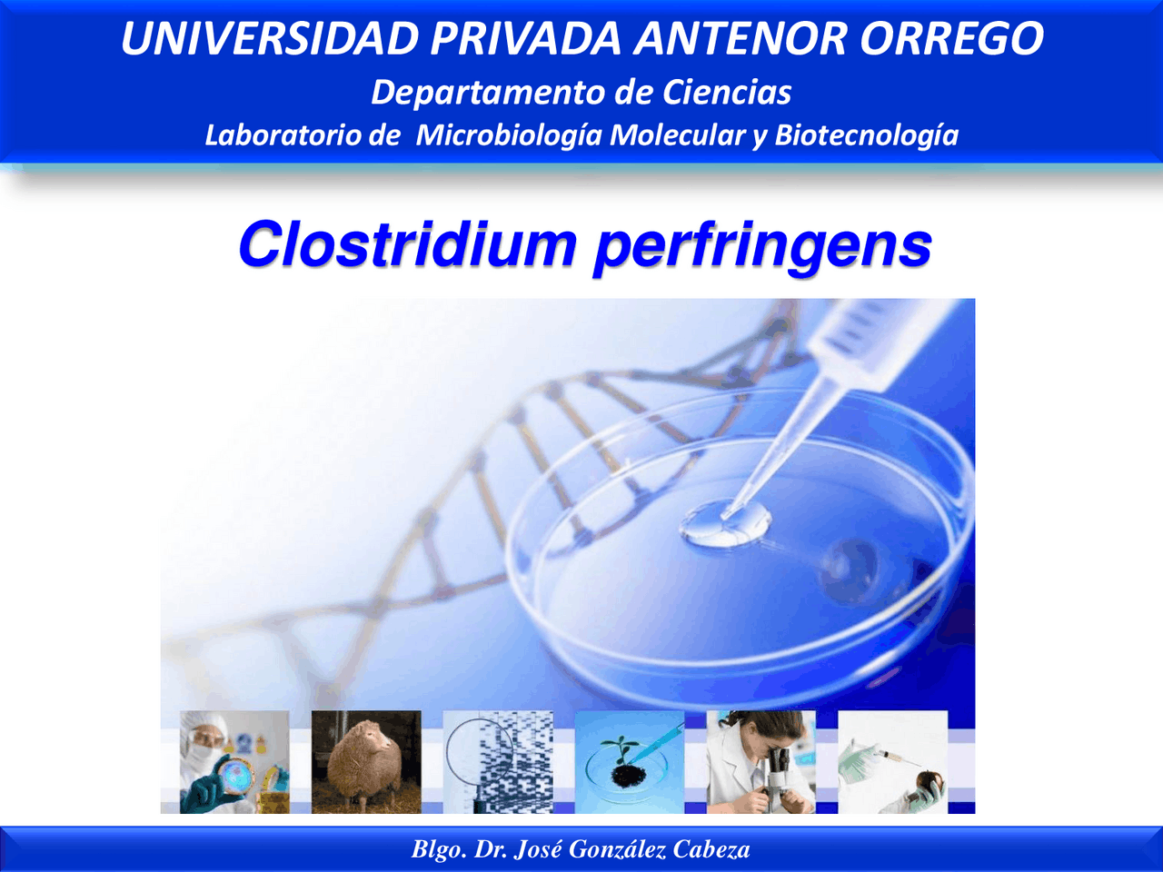 Clostridium perfringens: Características, patogenia y tratamiento ...