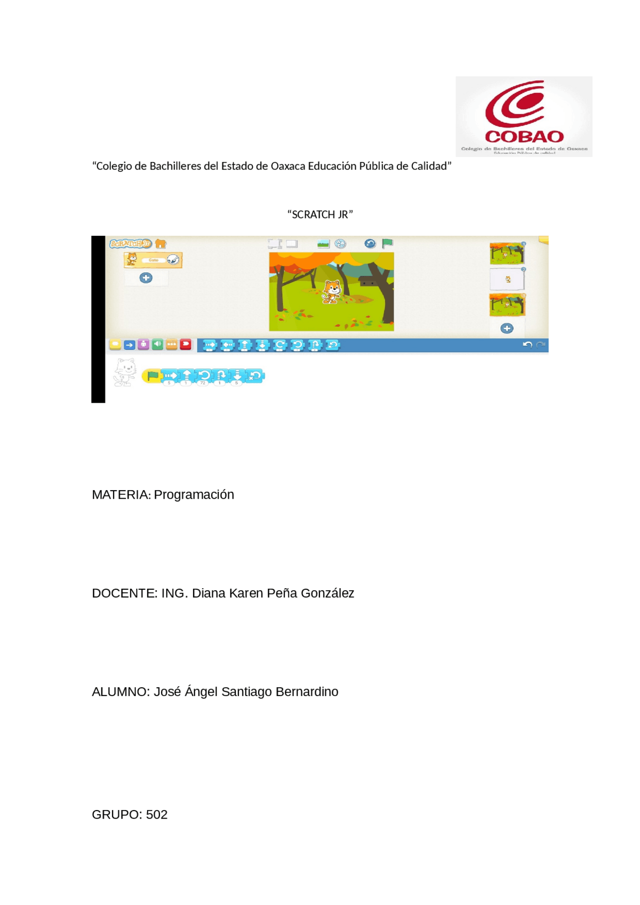 Ejercicio de Programación con Scratch Jr. | Resúmenes de Tecnología | Docsity
