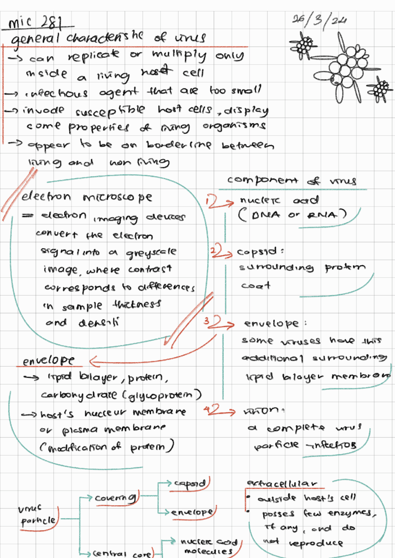 Introduction to virus | Schemes and Mind Maps Virology | Docsity