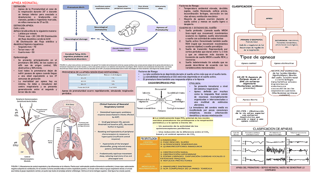 APNEA NEONATAL - CONSIDERACIONES | Esquemas y mapas conceptuales de ...