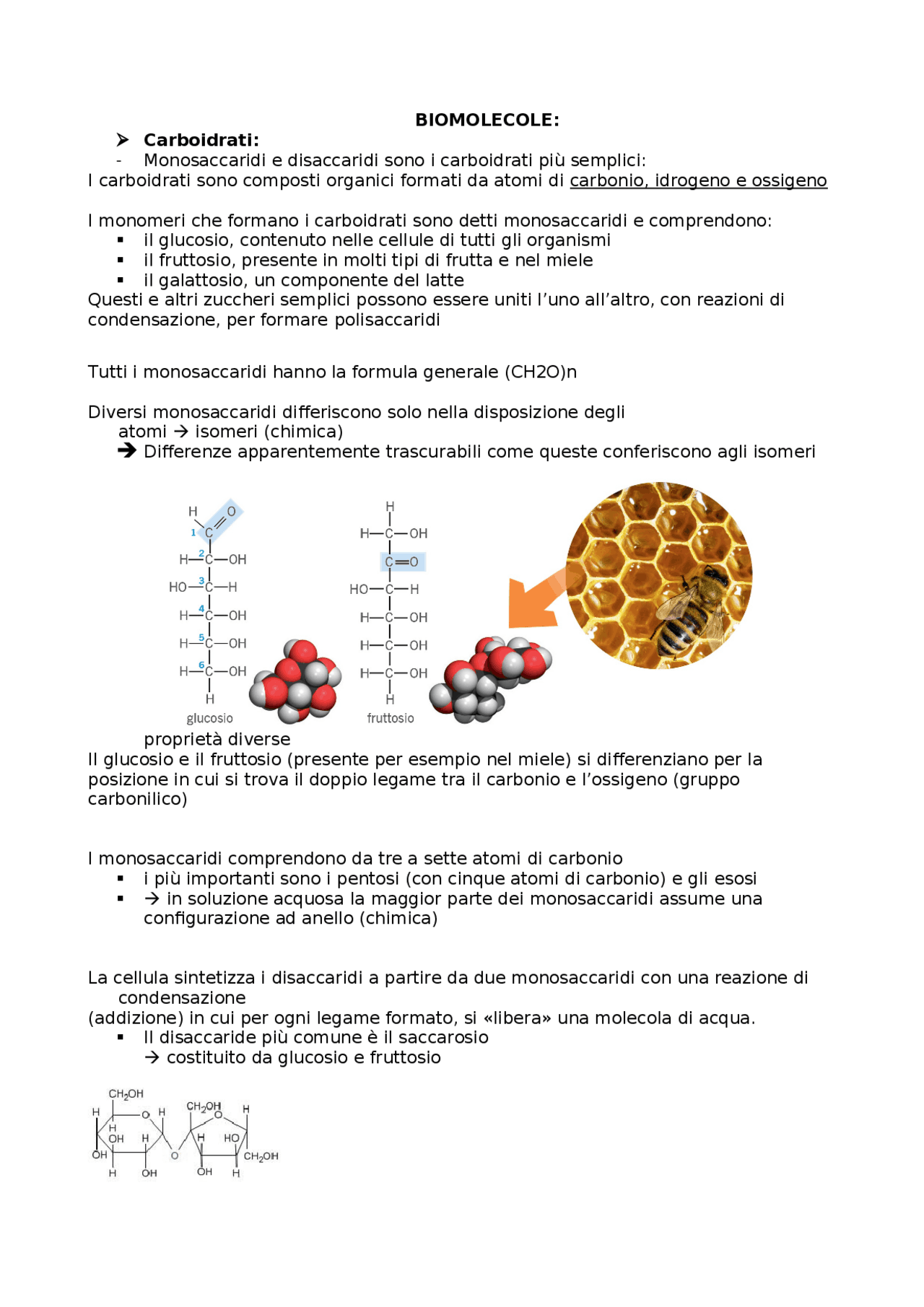 Carboidrati, lipidi e proteine: struttura e funzioni | Schemes and Mind Maps Biology | Docsity