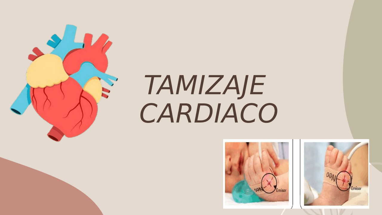 tamiz cardiaco y sus pasos | Diapositivas de Pediatría | Docsity