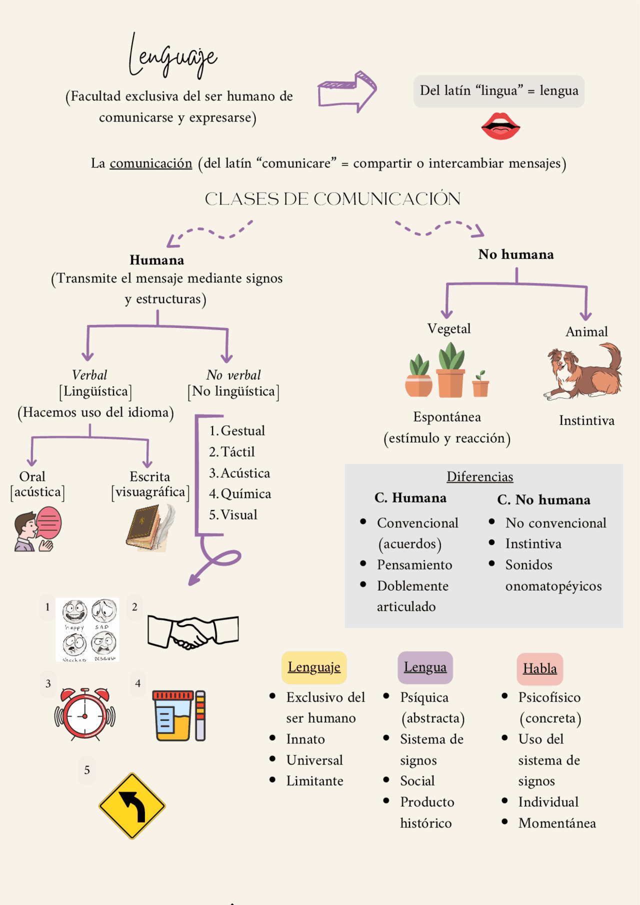 Introducción al lenguaje | Esquemas y mapas conceptuales de Lengua y Literatura | Docsity
